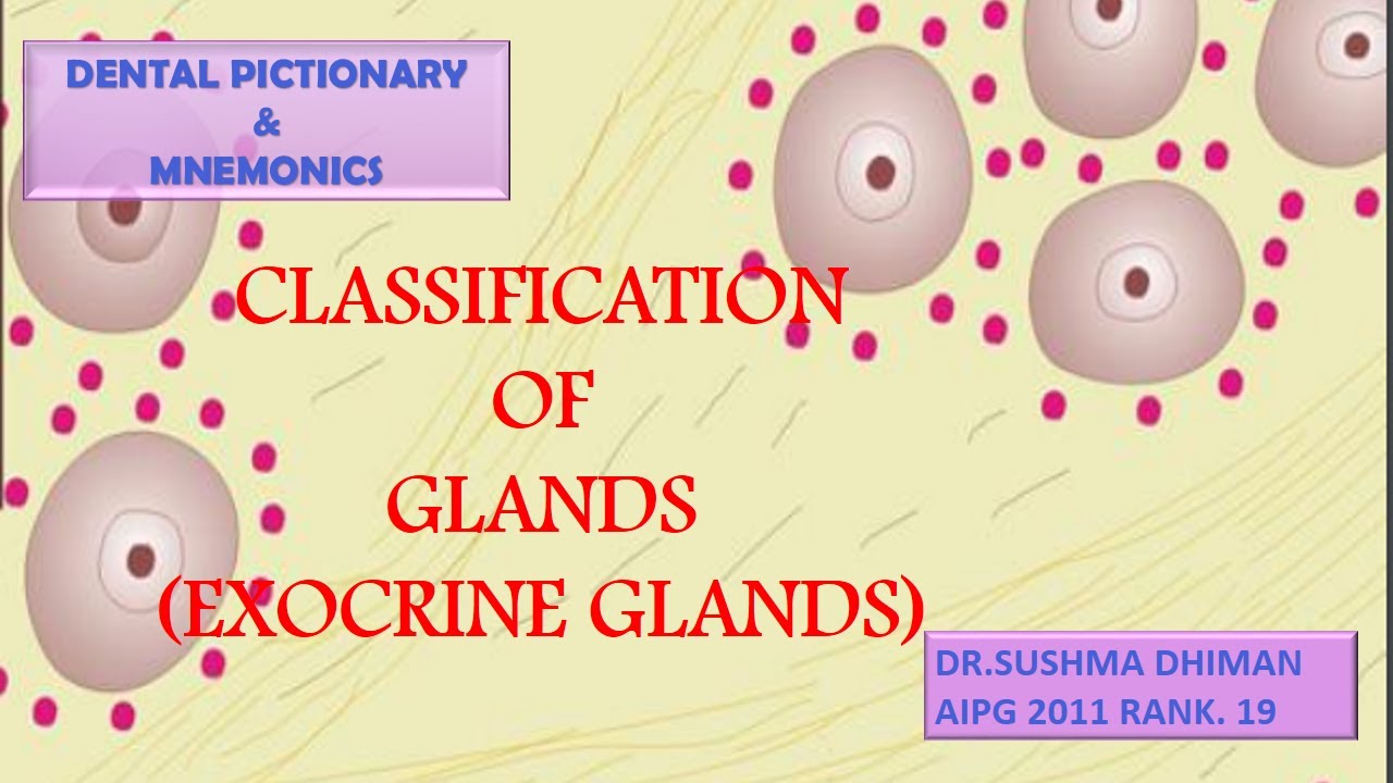 Glands# Classification of Exocrine Glands#Exocrine Glands#Gland Types# ...