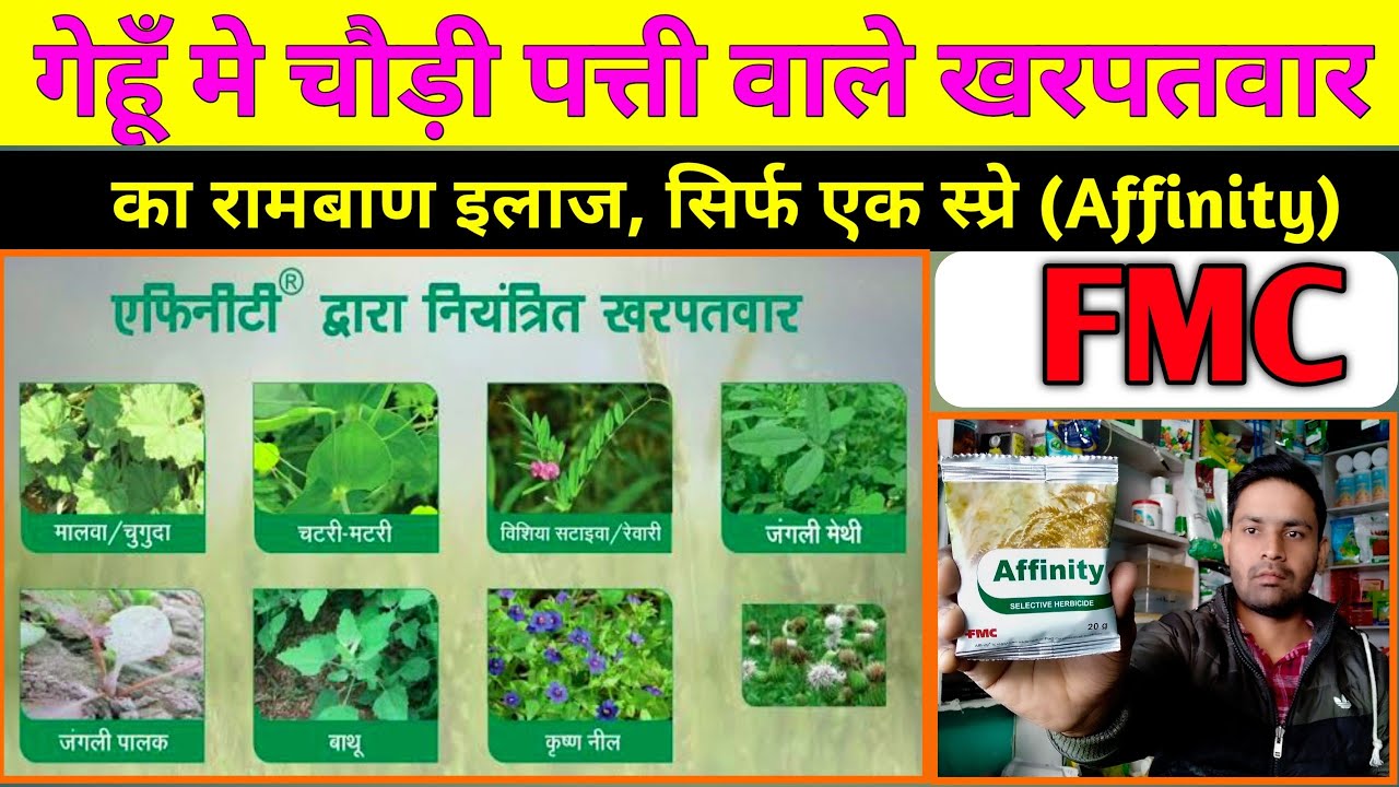 Affinity | चौड़ी पत्ती वाले सभी खरपतवारो का करे सफाया | गेहूँ का ...