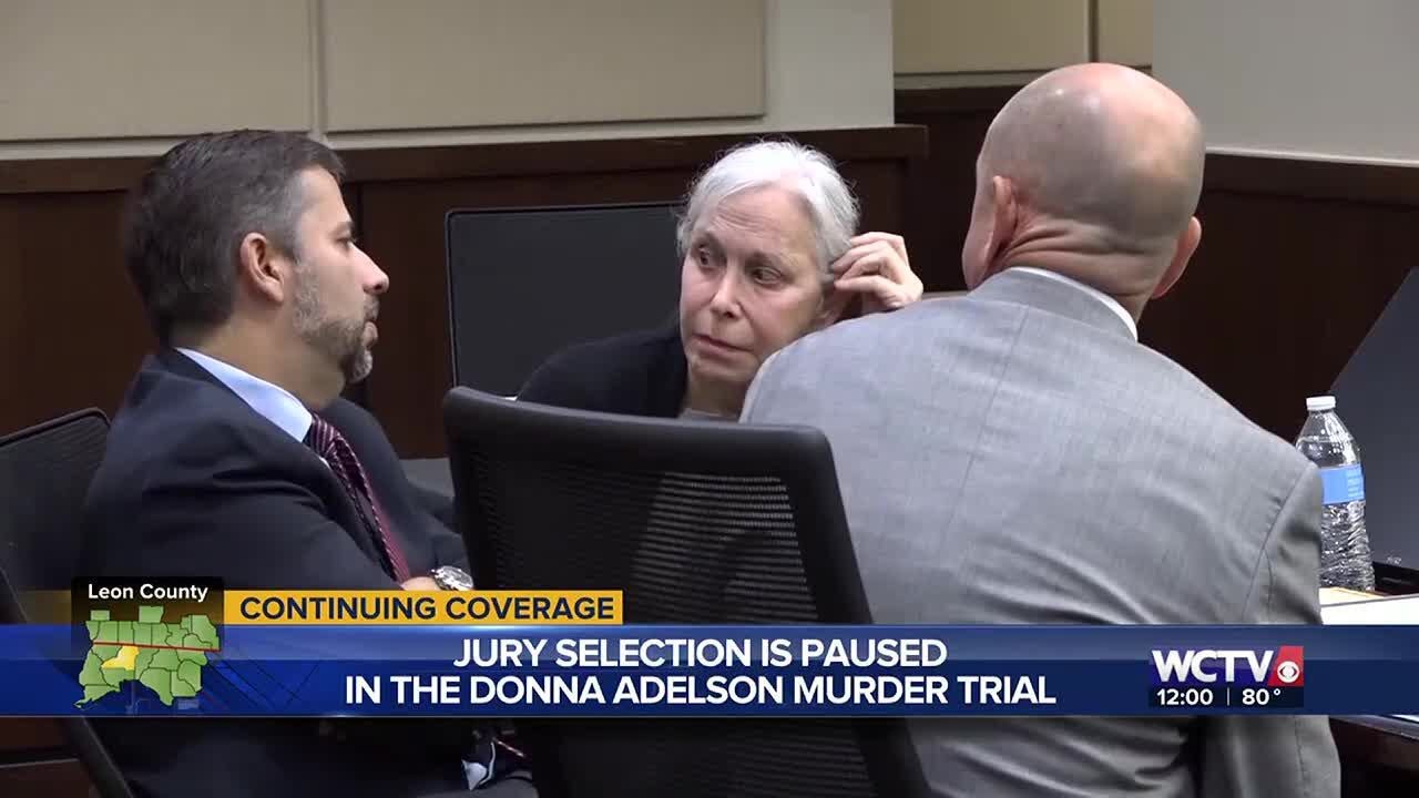 Jury selection in Donna Adelson case paused before it starts - YouTube