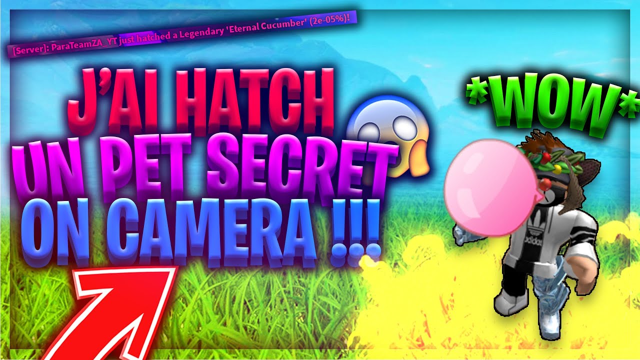 J'ai HATCH un PET SECRET ON CAMERA sur BGS !!! (Eternal Cucumber ...