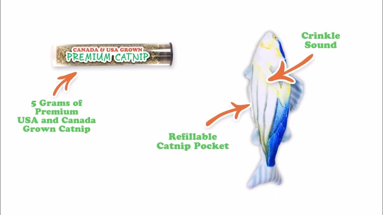 🐟 The Ultimate Catnip Toy! | Meowijuana Get Hooked Big Kahuna Tuna 😻 - YouTube