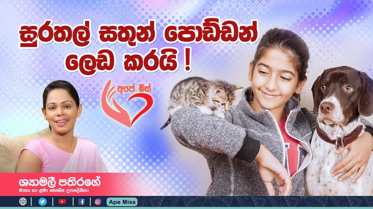 Ape Miss - බල්ලො බලල්ලු කෑවම සීරුවම බෙහෙත් විදින්න ඕනෙමද ? | Shyamalee ...