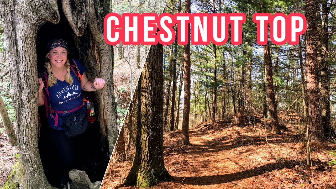 Hiking Chestnut Top Trail (Great Smoky Mountains) - YouTube