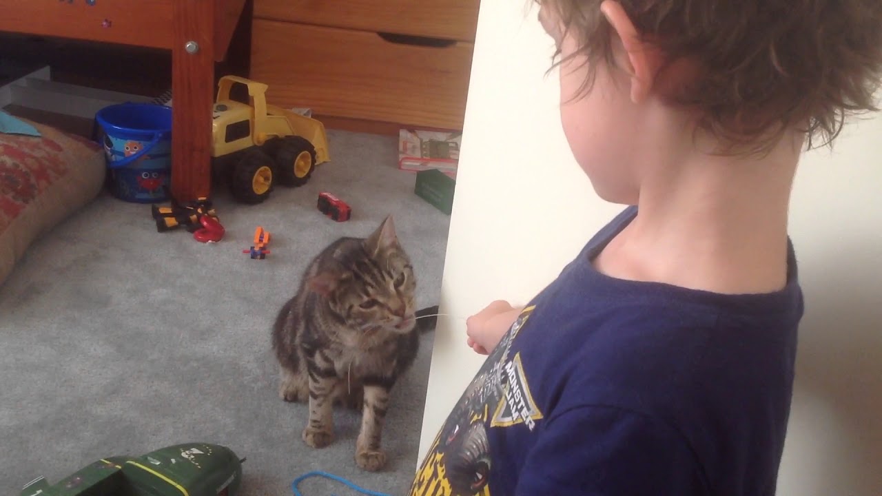 Luke Sutton and John the Cat - YouTube