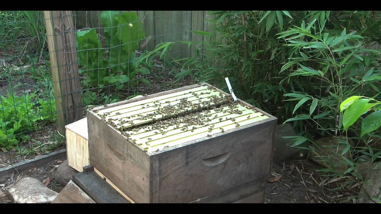 Beehive installation - YouTube
