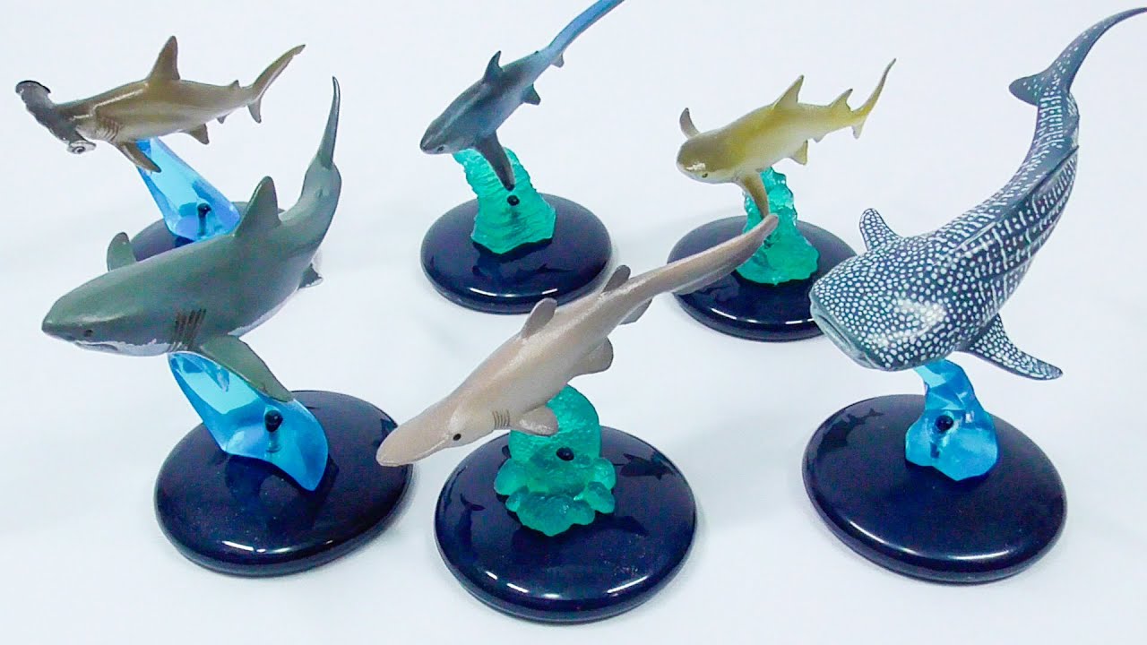 ネイチャーテクニカラー400 サメ 全6種 Nature Technicolor 400 Shark All 6 types - YouTube