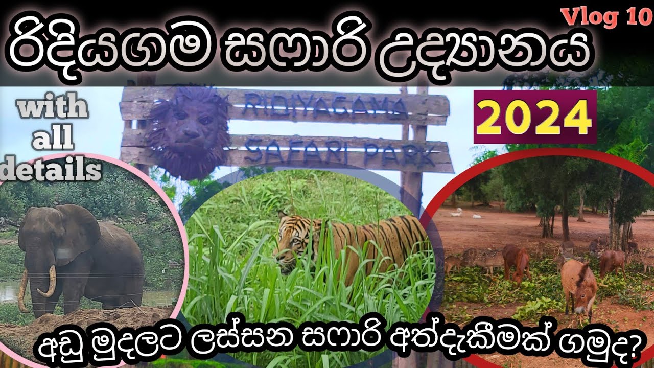 Ridiyagama Safari Park Srilanka 🇱🇰| රිදියගම සෆාරි උද්‍යානය ...