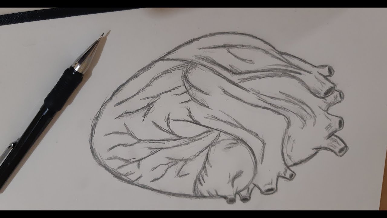 Post Script || Art with Me || Graphite Heart Sketch - YouTube