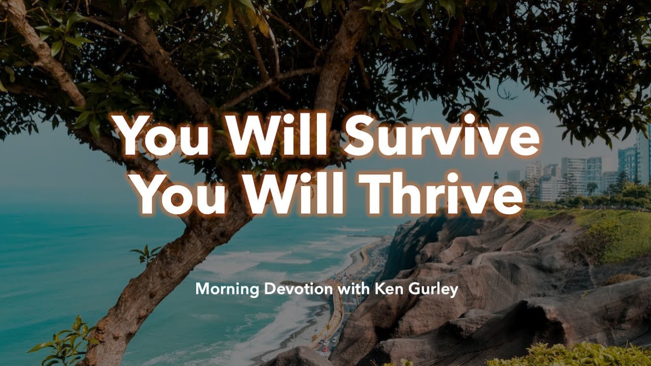 You Will Survive, You Will Thrive - YouTube