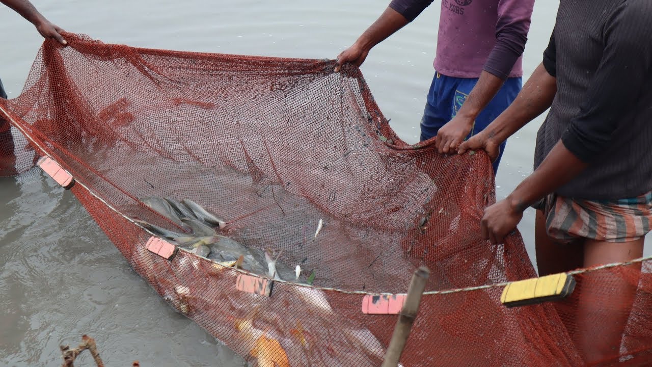 Fishing With Net In Lake / Catching Fish With A Cast Net # ...