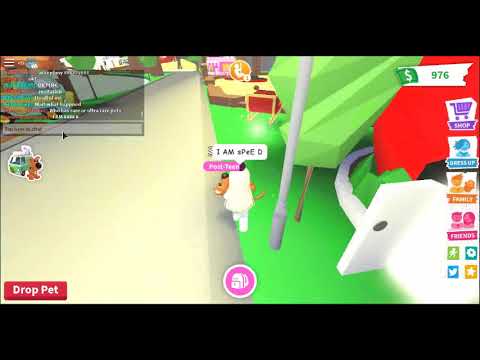 SCOOB!(Adopt Me update) finished and what you get! - YouTube