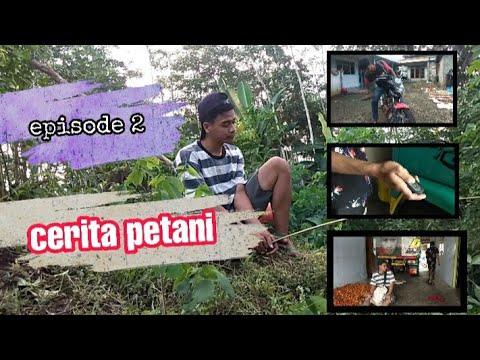 CERITA PETANI KOPLAK SEASON 2 mancing