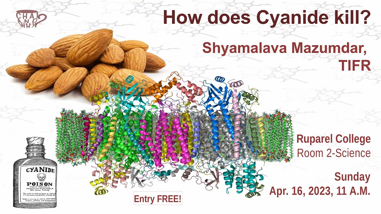 How does Cyanide kill? - YouTube