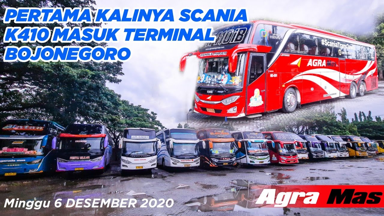 BIKIN HEBOH//PERTAMA KALINYA SCANIA MASUK TERMINAL BOJONEGORO // AGRA ...