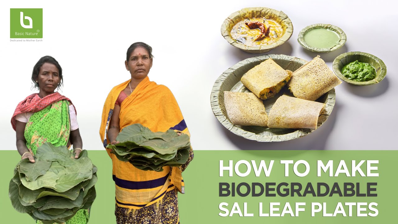How to make Biodegradable Leaf Plates - YouTube