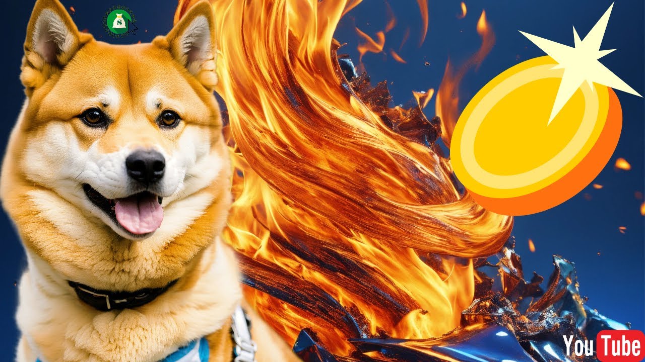 C'est officiel Shiba inu et Bonk - Analyse Crypto - YouTube