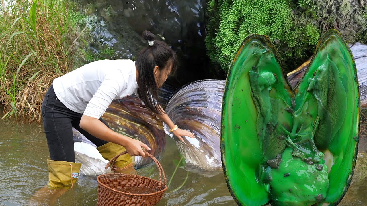 Pearls Galore! Girl in Creek Makes Incredible Discovery of Enormous ...