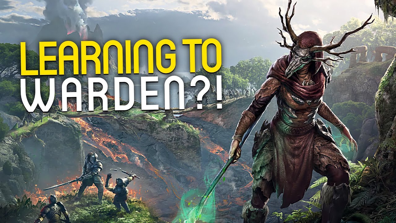 How to play Warden?! (Livestream) - YouTube