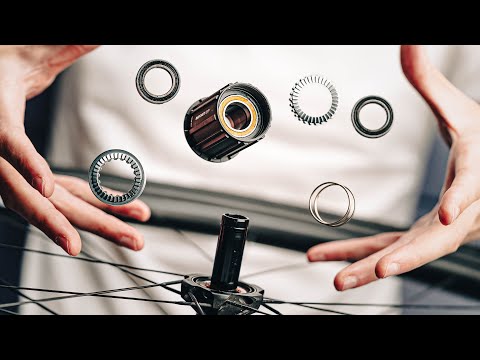 DT Swiss EXP hub: Beginner to Master maintenance