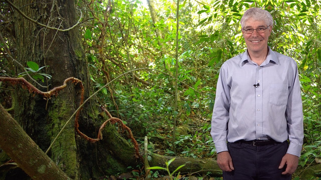 Christopher Neill (WHRC) 1: Consequences of Amazon Deforestation - YouTube