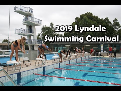2019 Lyndale Swimming Carnival - YouTube
