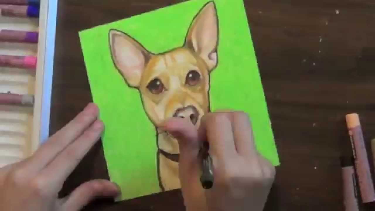 Drawing Bodhi the ChiWeenie - YouTube