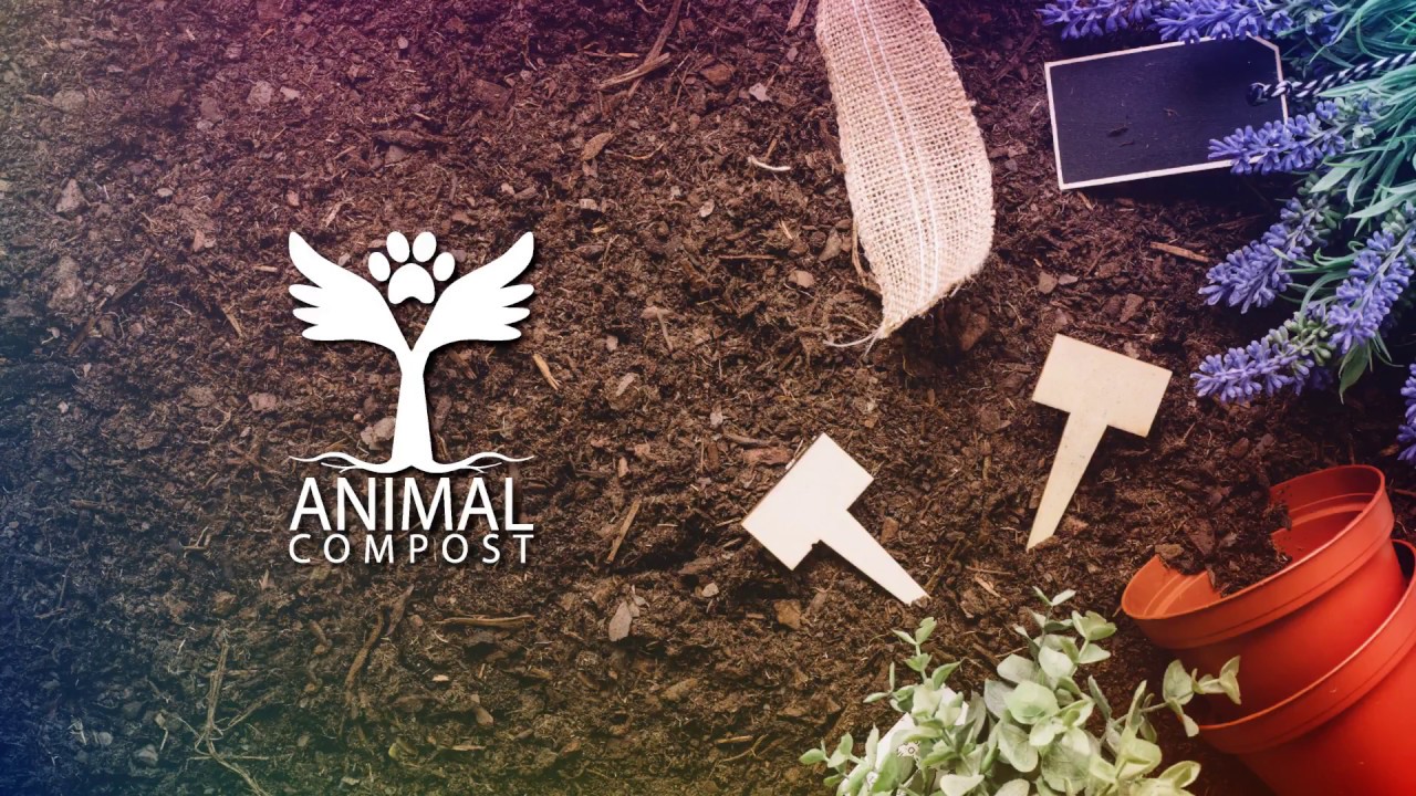 Animal Compost Pet - YouTube