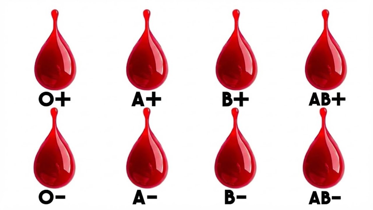 Every Hidden Advantage of Your Blood Type Explained - YouTube
