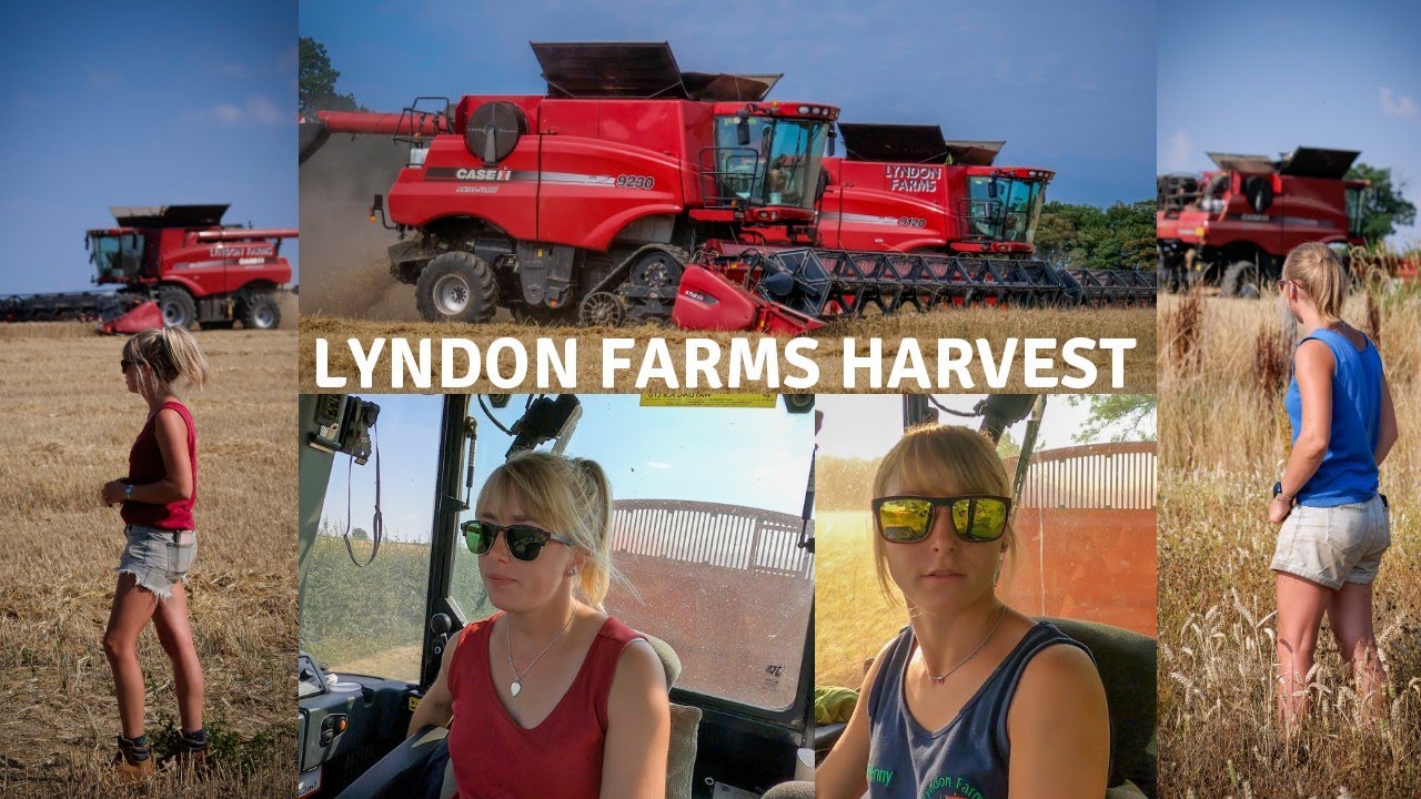 Lyndon Farms Ladies Harvest 2020 - YouTube