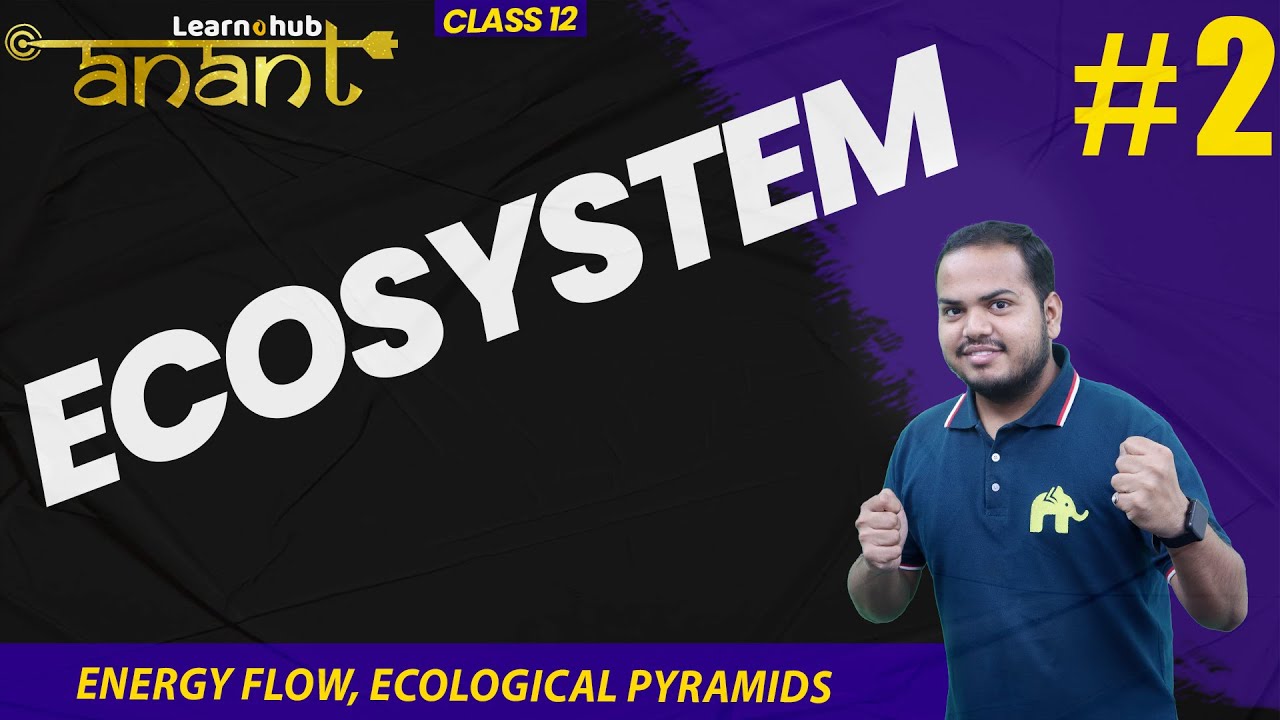 Ecosystem Class 12 Biology NCERT Chapter 12 #2 | Energy Flow ...