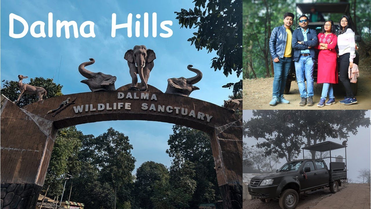 Dalma Wildlife Sanctuary l Dalma Tour Guide l Dalma Pahar l Dalma ...