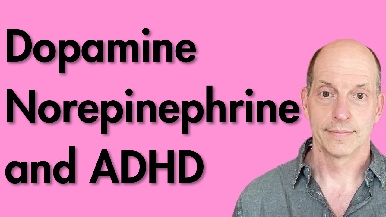 Dopamine, Norepinephrine, and ADHD - The Stories We Tell About Them ...
