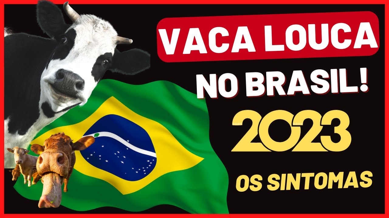 VACA LOUCA NO BRASIL 2023 | SINTOMAS DESTA DOENÇA | SAIBA COMO SE PEGA ...