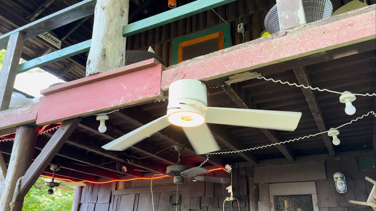 Ceiling Fan Destruction #81 - YouTube