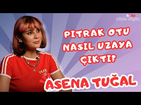 PITRAK OTU NASIL UZAYA  ÇIKTI? | Bi de Böyle Düşün | Asena Tuğal