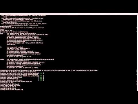 Creating server on OpenVZ container and accessing it over Internet - YouTube