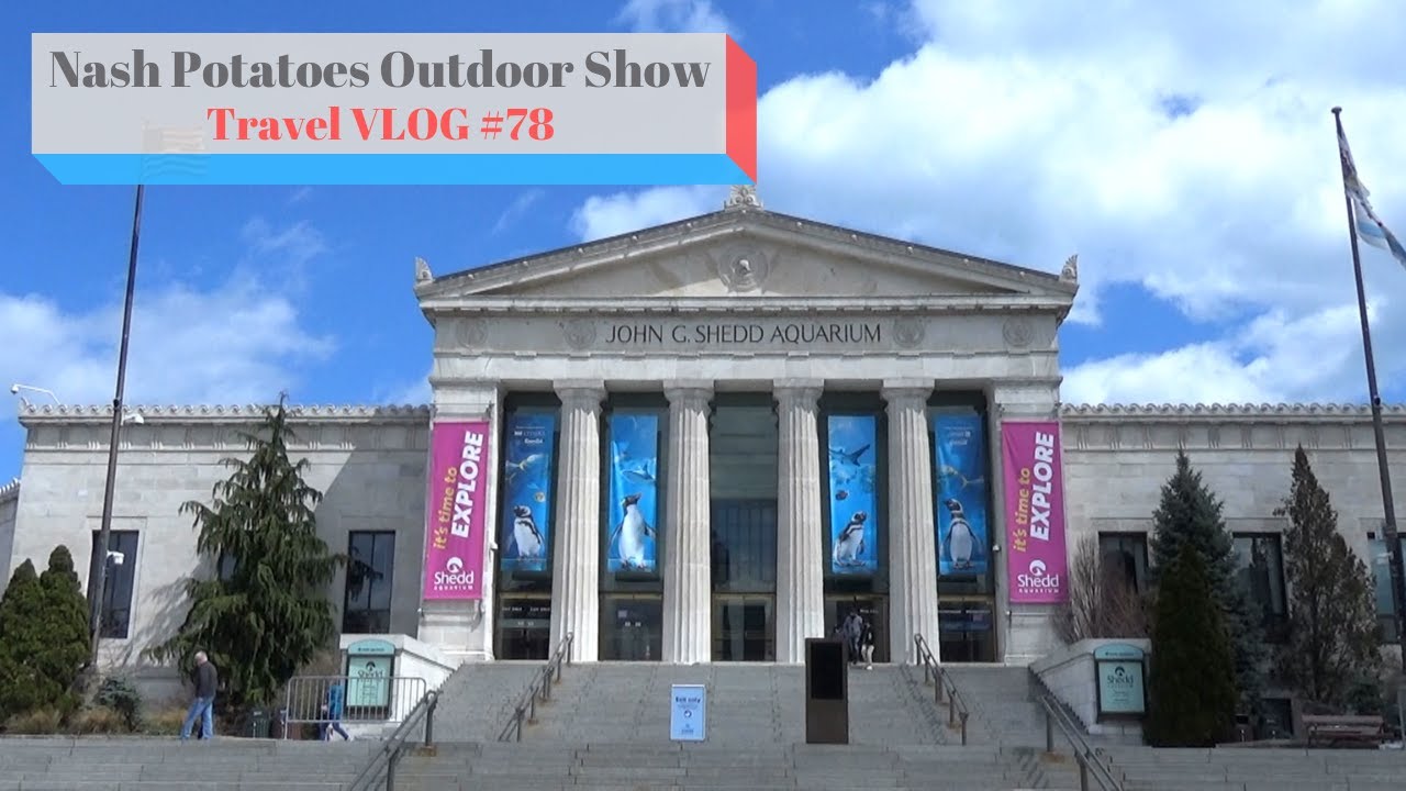 Shedd Aquarium & Abbott Oceanarium in Chicago - YouTube