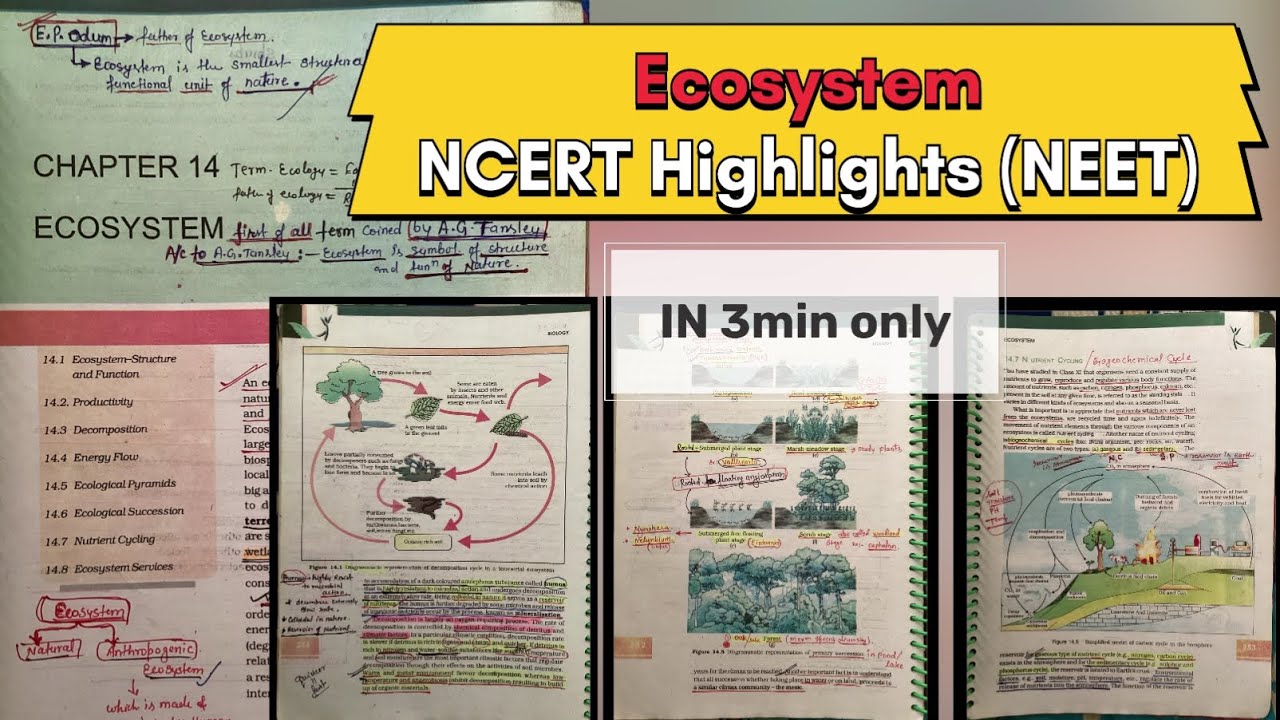 Ecosystem || NCERT HIGHLIGHTS || Ecology For#neet #neet2024 Class 12th ...