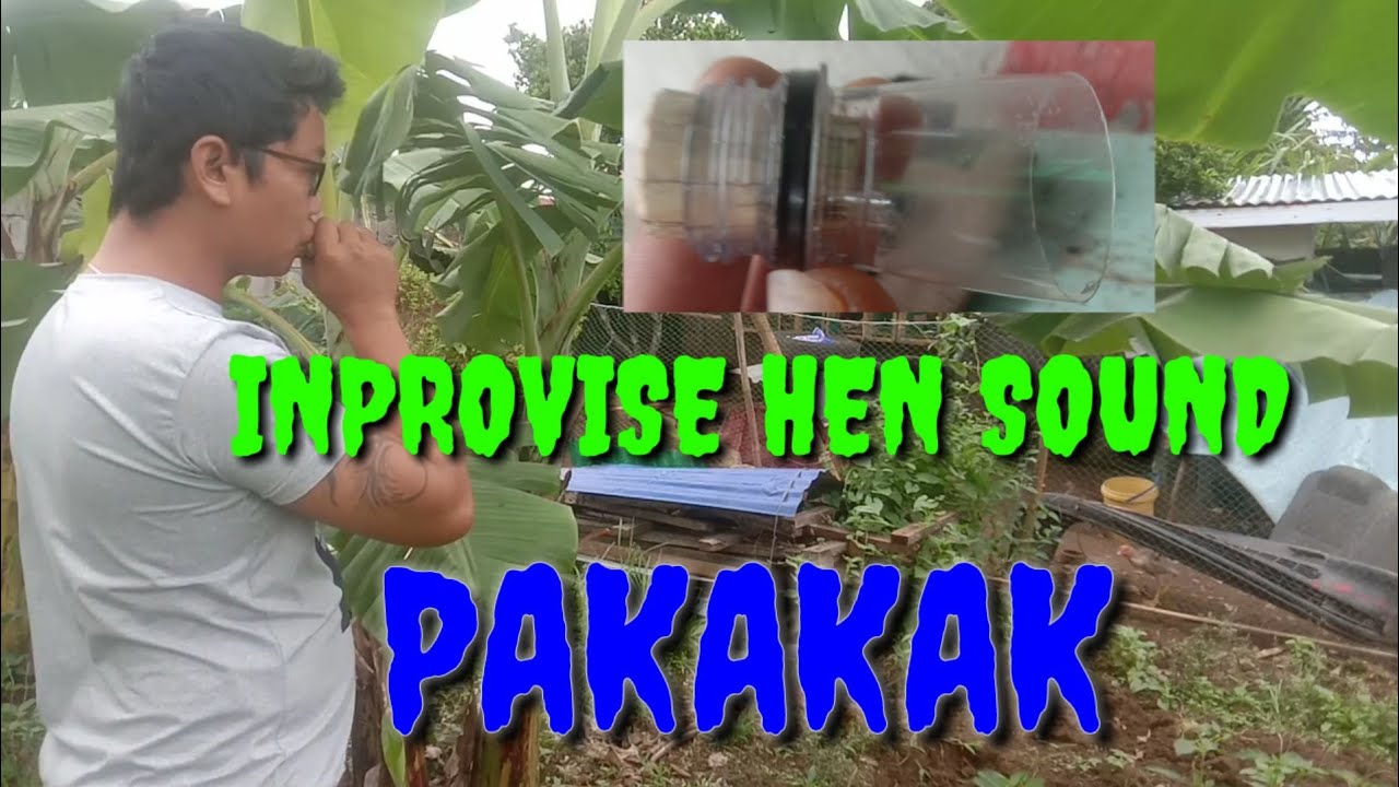 TUTORIAL INPROVISE HEN SOUND OR PAKAKAK - YouTube