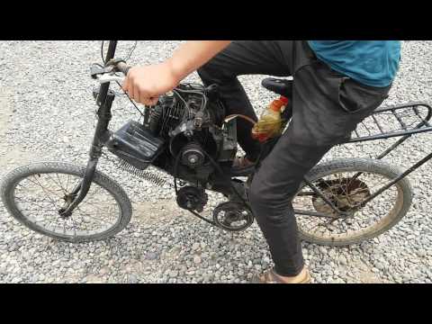 Matorlu velosibet imişli Qaraguvendikli