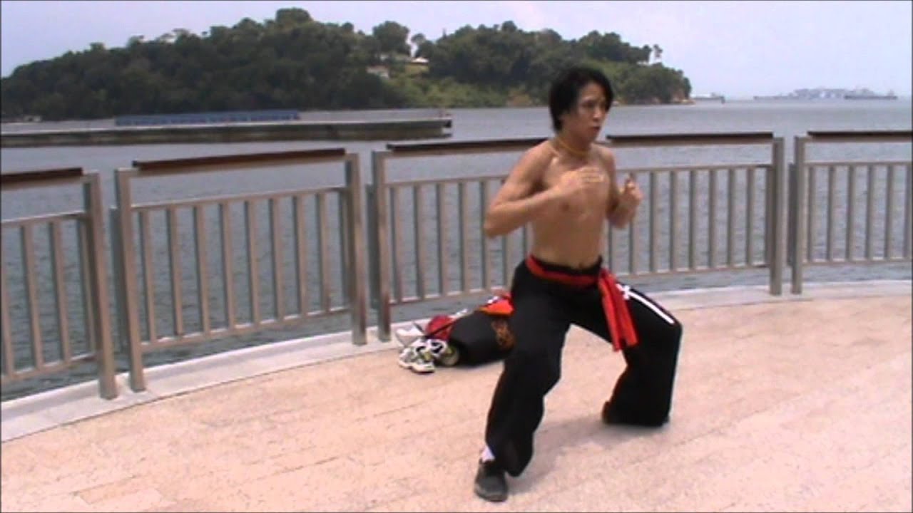 洪家铁线拳 Hung Gar Iron Wire Fist @ Labrador Natural Reserve - YouTube