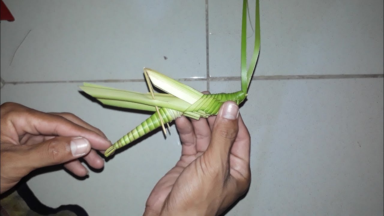 DOWNLOAD Tutorial Membuat Origami Belalang Dari Bahan Janur Mp4 MP3 download-tutorial-membuat-origami-belalang-dari-bahan-janur-mp4-mp3