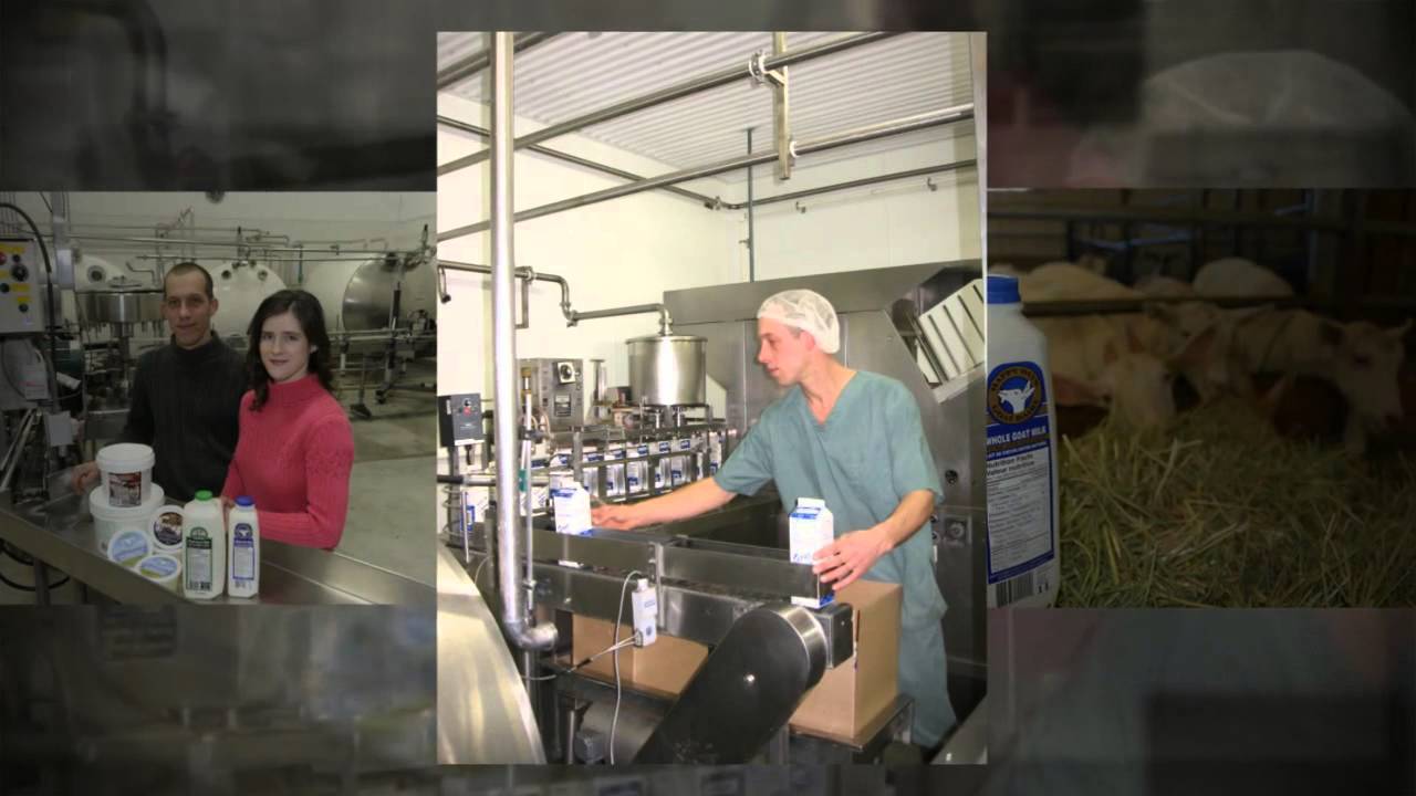 Copy of Rock Ridge Dairy Farm - YouTube