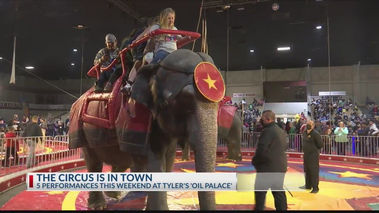 Here’s when you can see the Carden International Circus in Tyler this ...