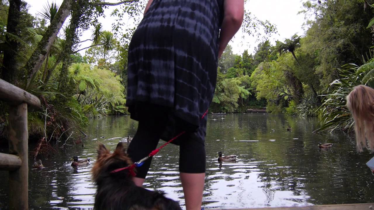 Test Video of Panasonic Lumix GH3 | Sample Video | 14-42mm PZ lens ...