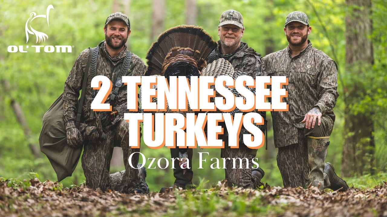 Two Tennessee Turkeys at Ozora Farms - YouTube