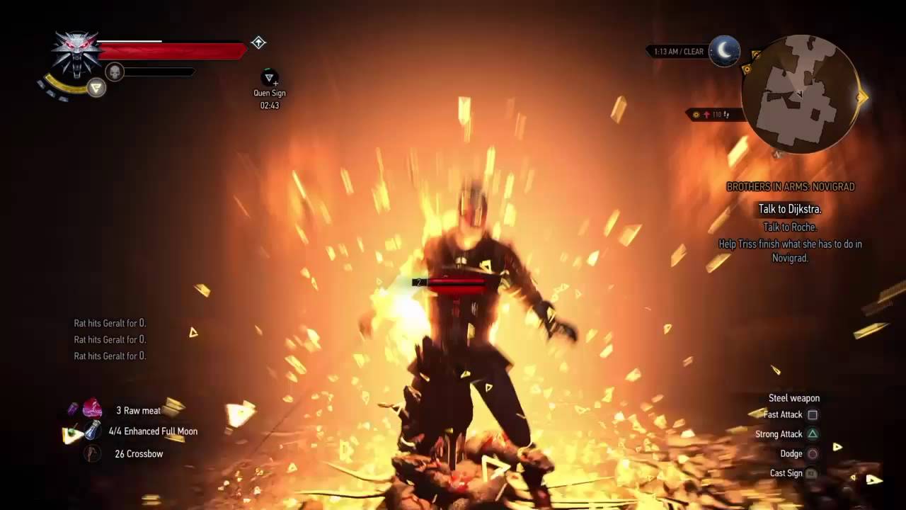 The Witcher 3 rats - YouTube