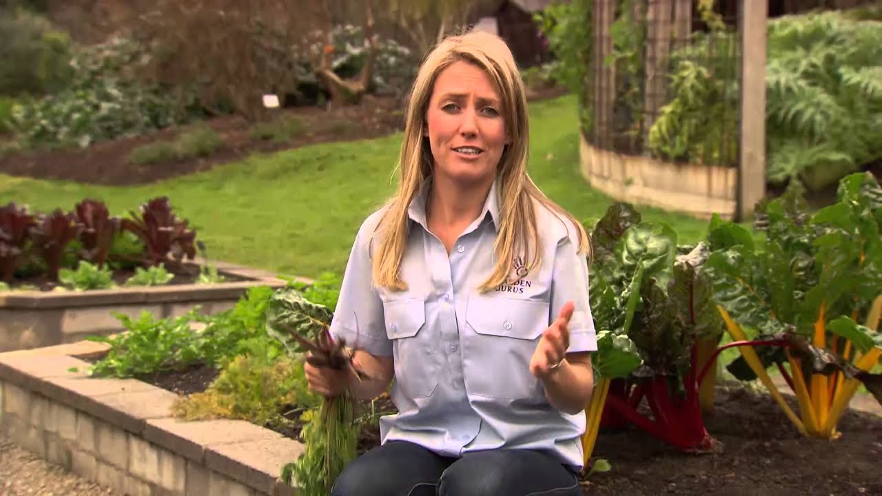 The Garden Gurus - Heirloom Veggies - YouTube