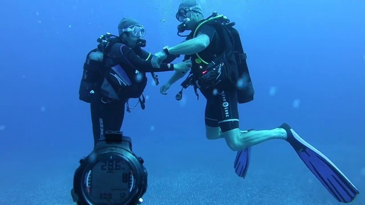 Formation Plongée Niveau 3 - YouTube