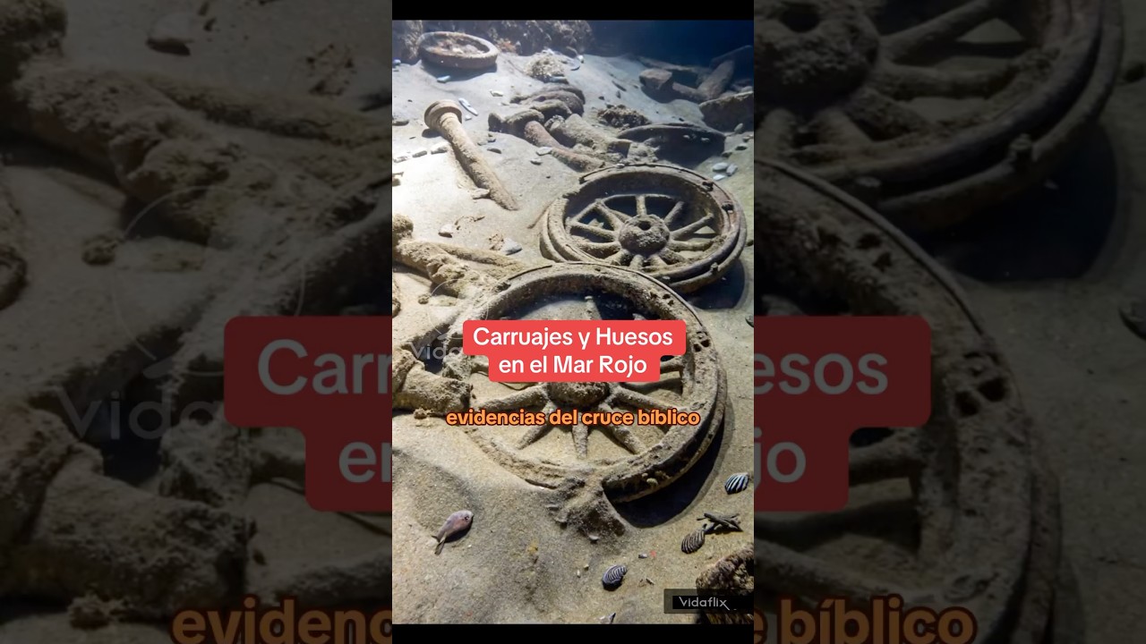 Evidencias del Cruce Bíblico de Moisés en el Mar Rojo Salen a la Luz ...